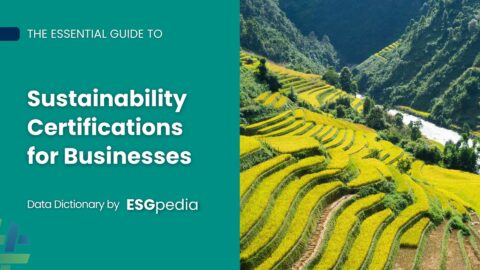 Guide to Sustainability Certifications for businesses – ESG Data Dictionary